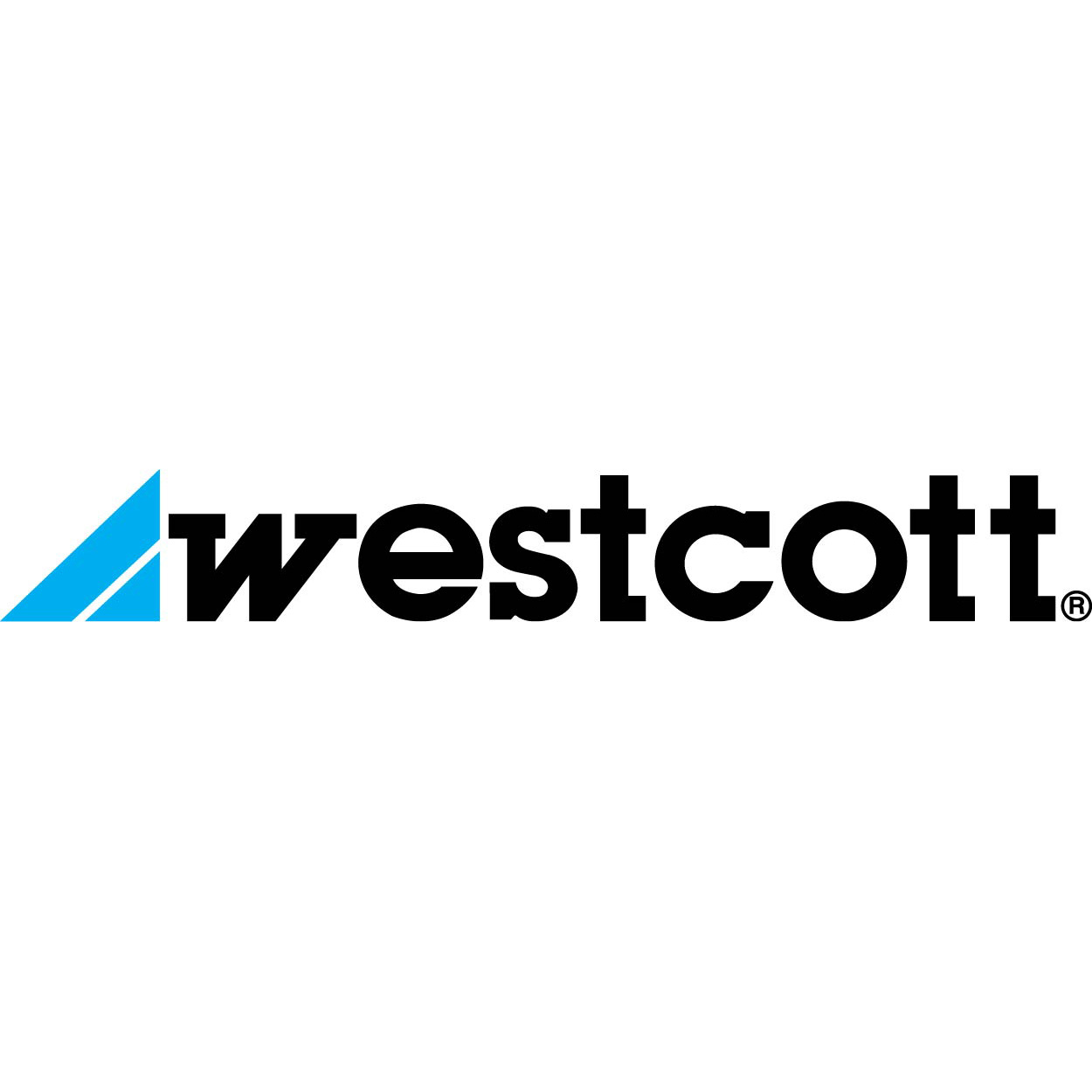 Westcott – The Portrait Masters LIVE